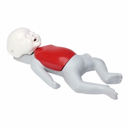 Life/form Basic Buddy manikin is a training system