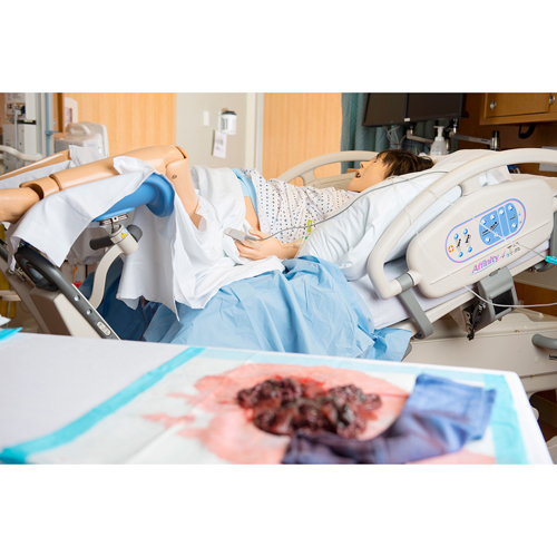 Life/form Lucy SimVS OB Delivery Simulation System offers a near real ...