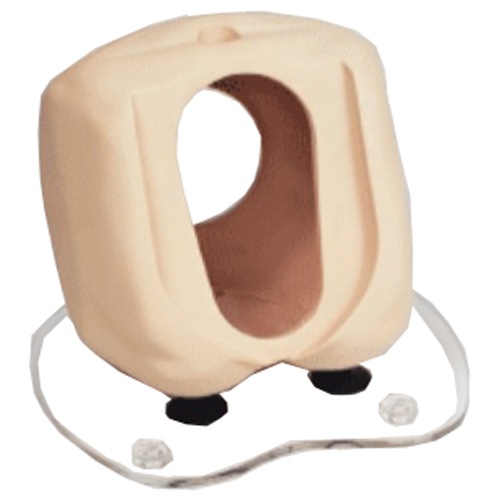 Medical Training Kit for Male and Female Catheterization