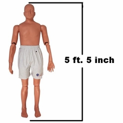 Simulaids Standard Rescue Randy 5ft 11inches