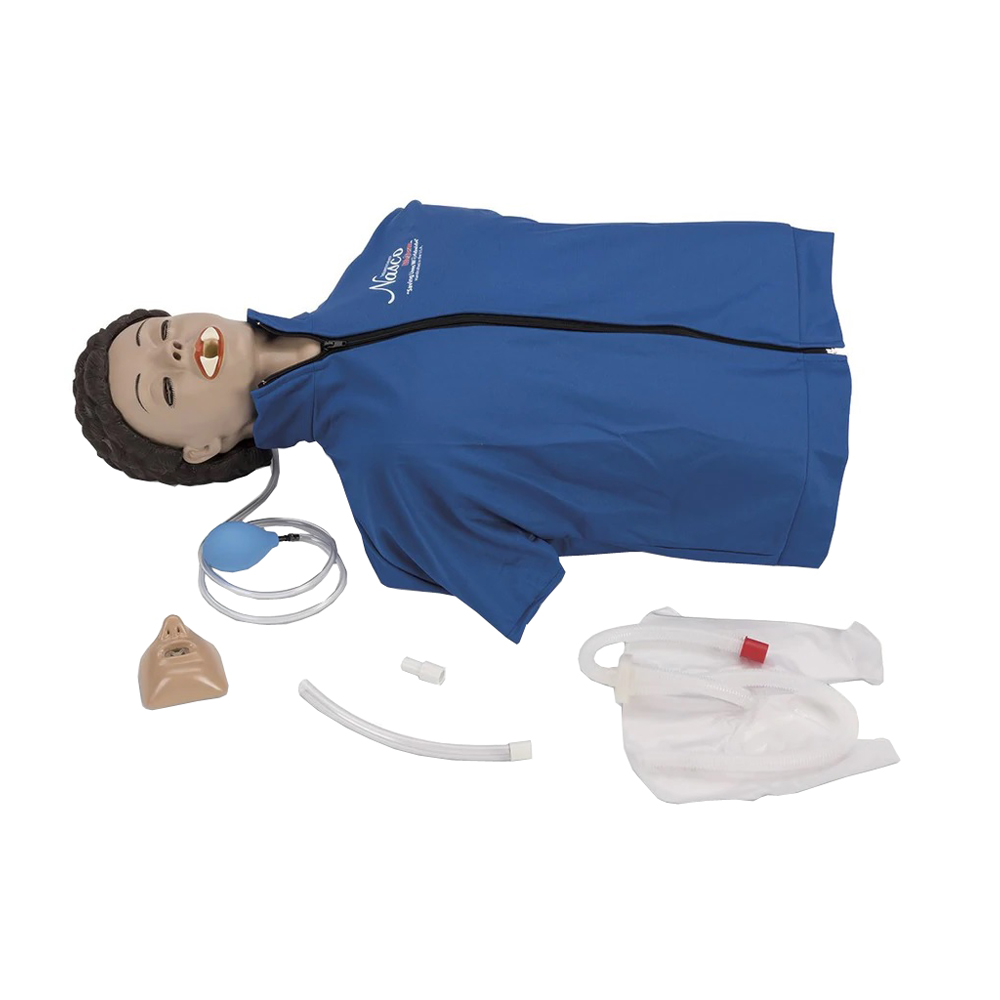 Sanitary Cparlene Basic Torso with Molded Hair