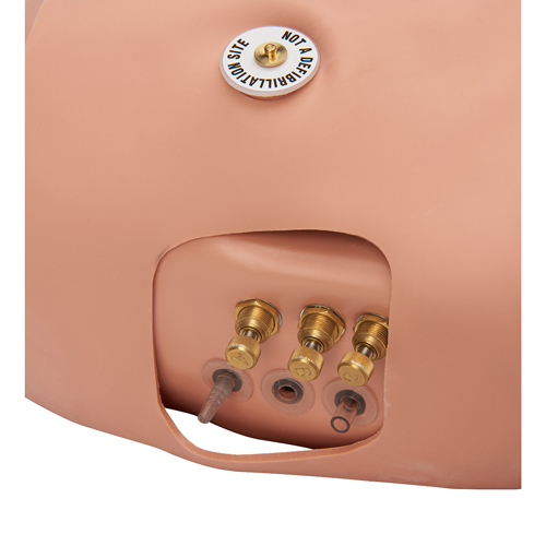 Simulaids STAT Manikin with Deluxe Airway Head