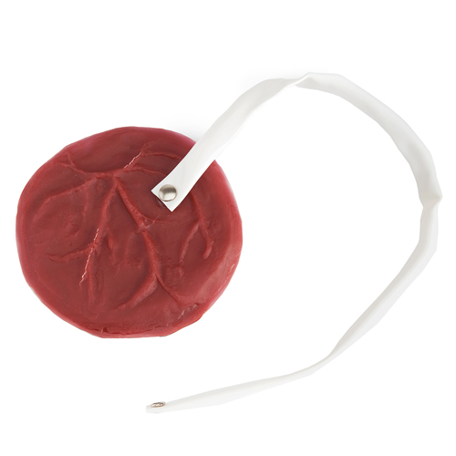 Simulaids Obstetrical Manikin Placenta with Cords