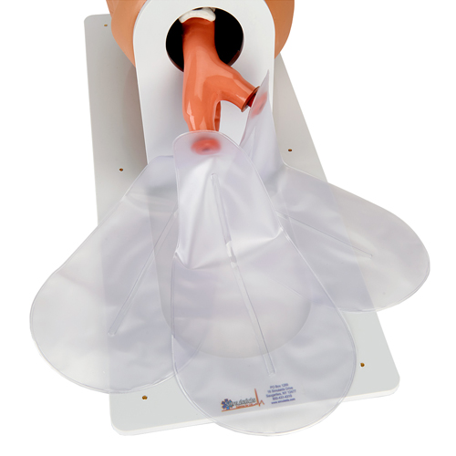 Simulaids Economy Adult Intubation Head Trainer