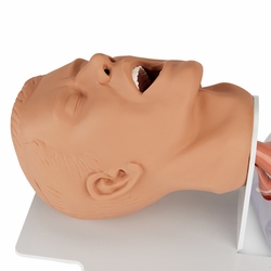 Simulaids Economy Adult Intubation Head Trainer