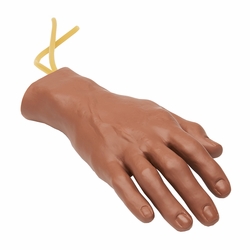 Professional Nursing Kit for IV Training On Arm and Hand