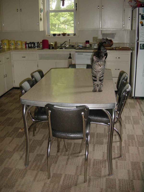 A beautiful Michigan kitchen