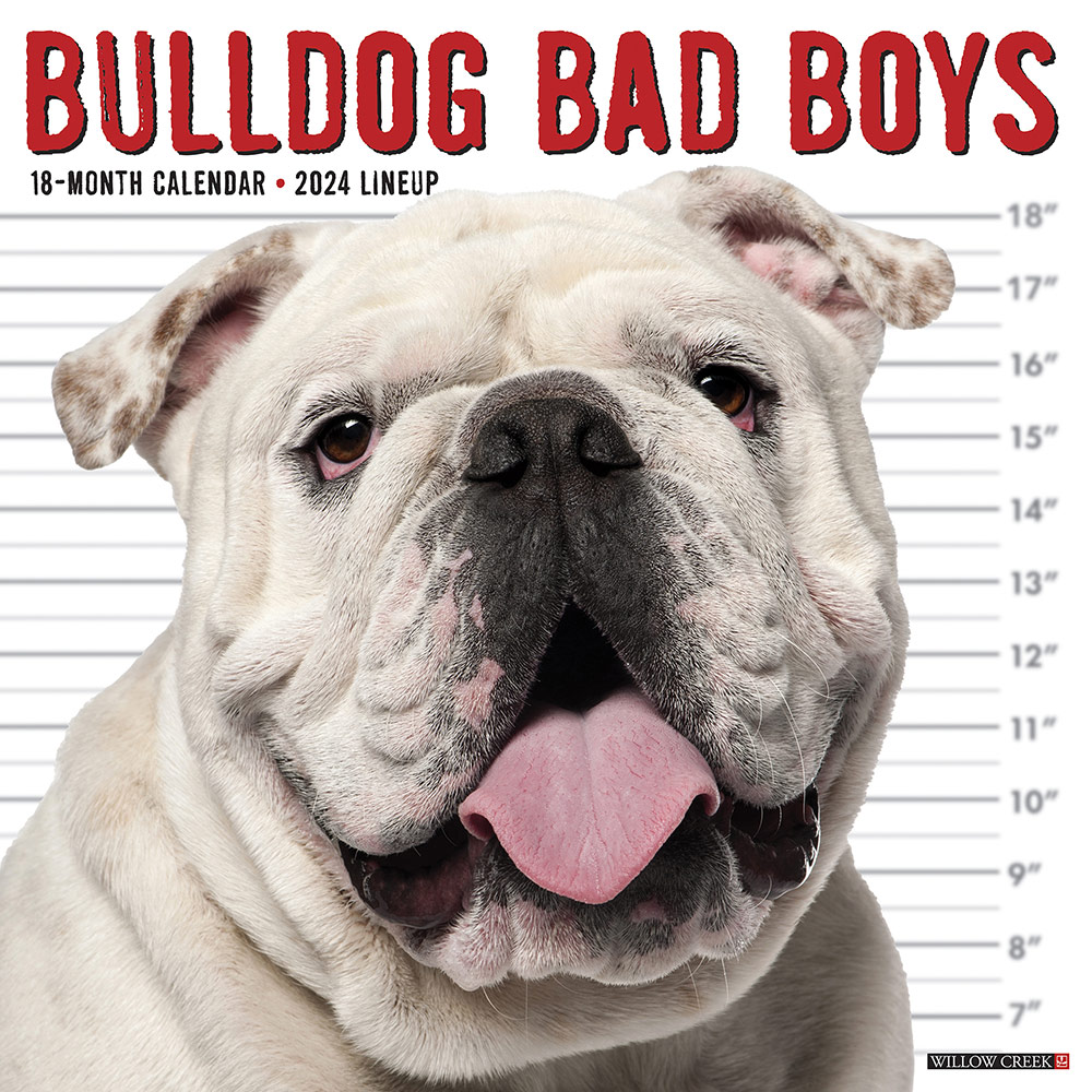 Bulldog Wall Calendars 2022 Animal Den