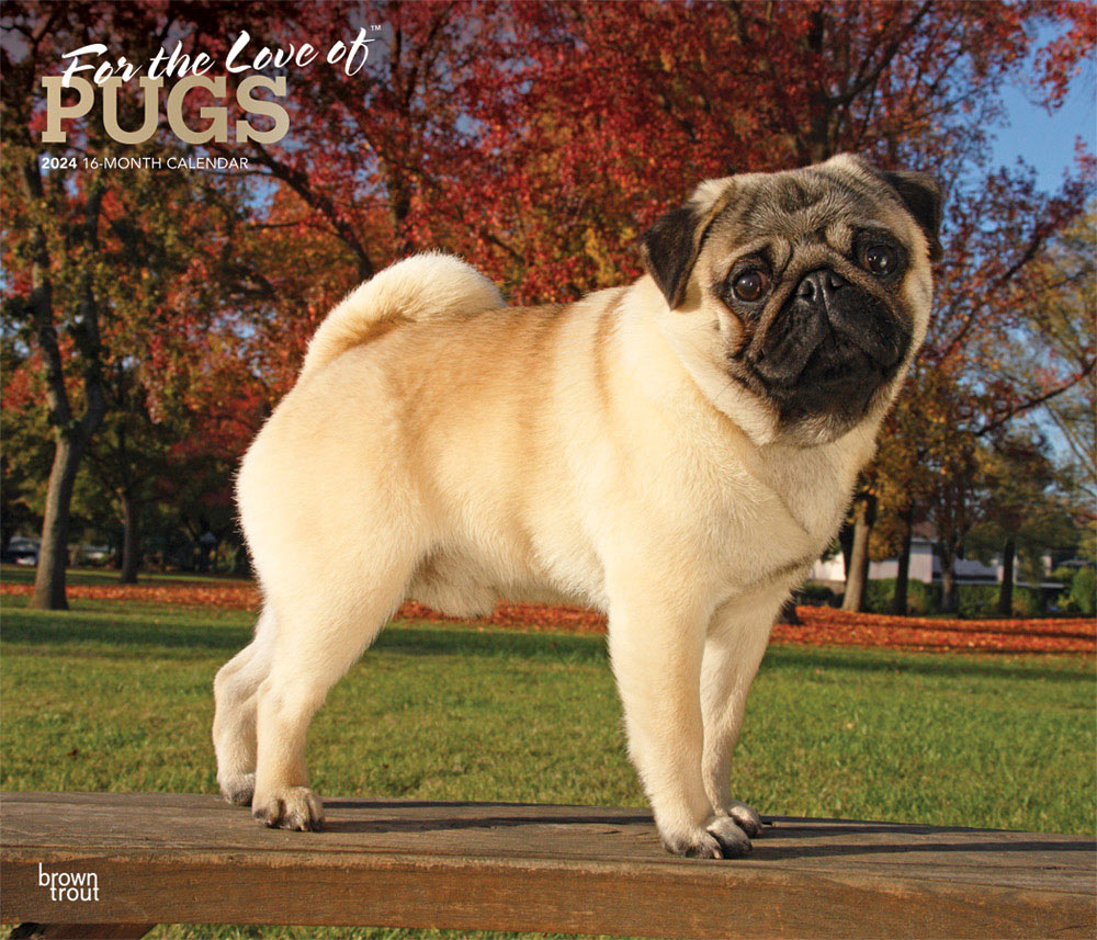 Pug Dog Gifts, Jewelry, Collectibles - AnimalDen.com