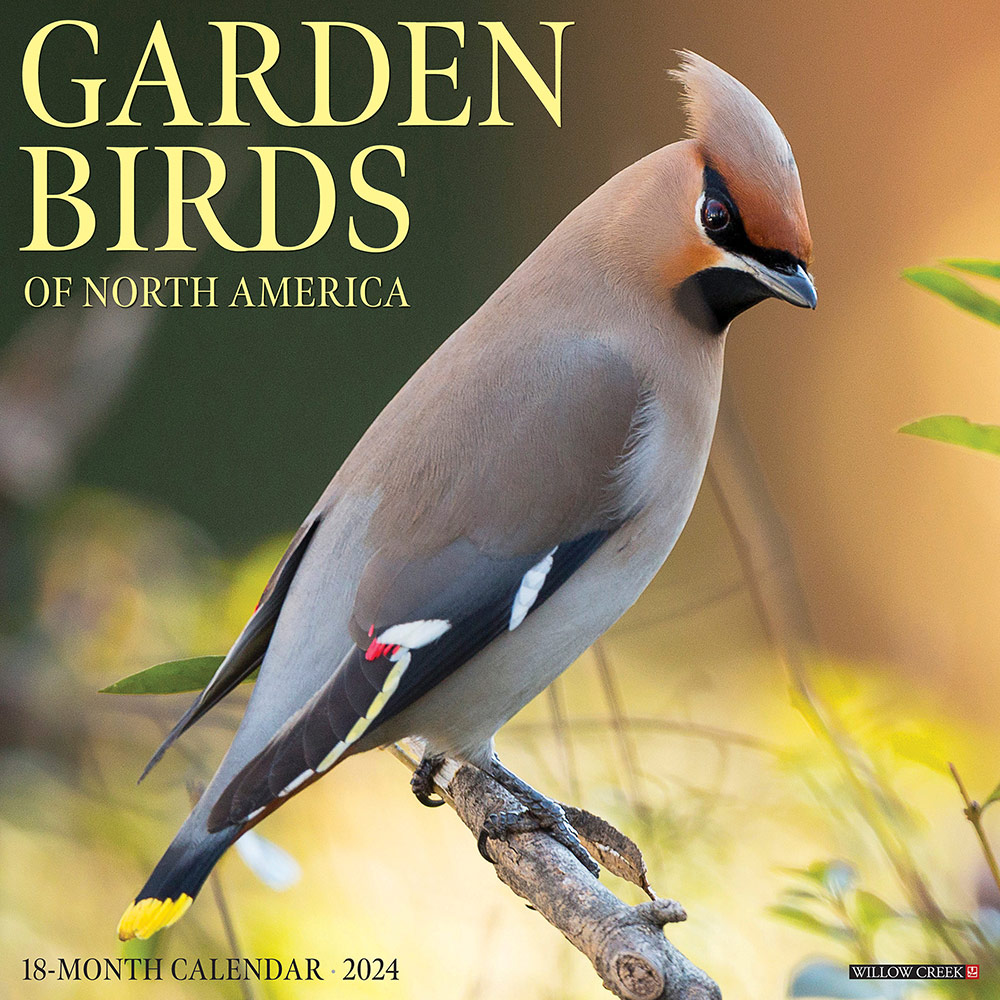 Birds Wall Calendars 2022 Animal Den