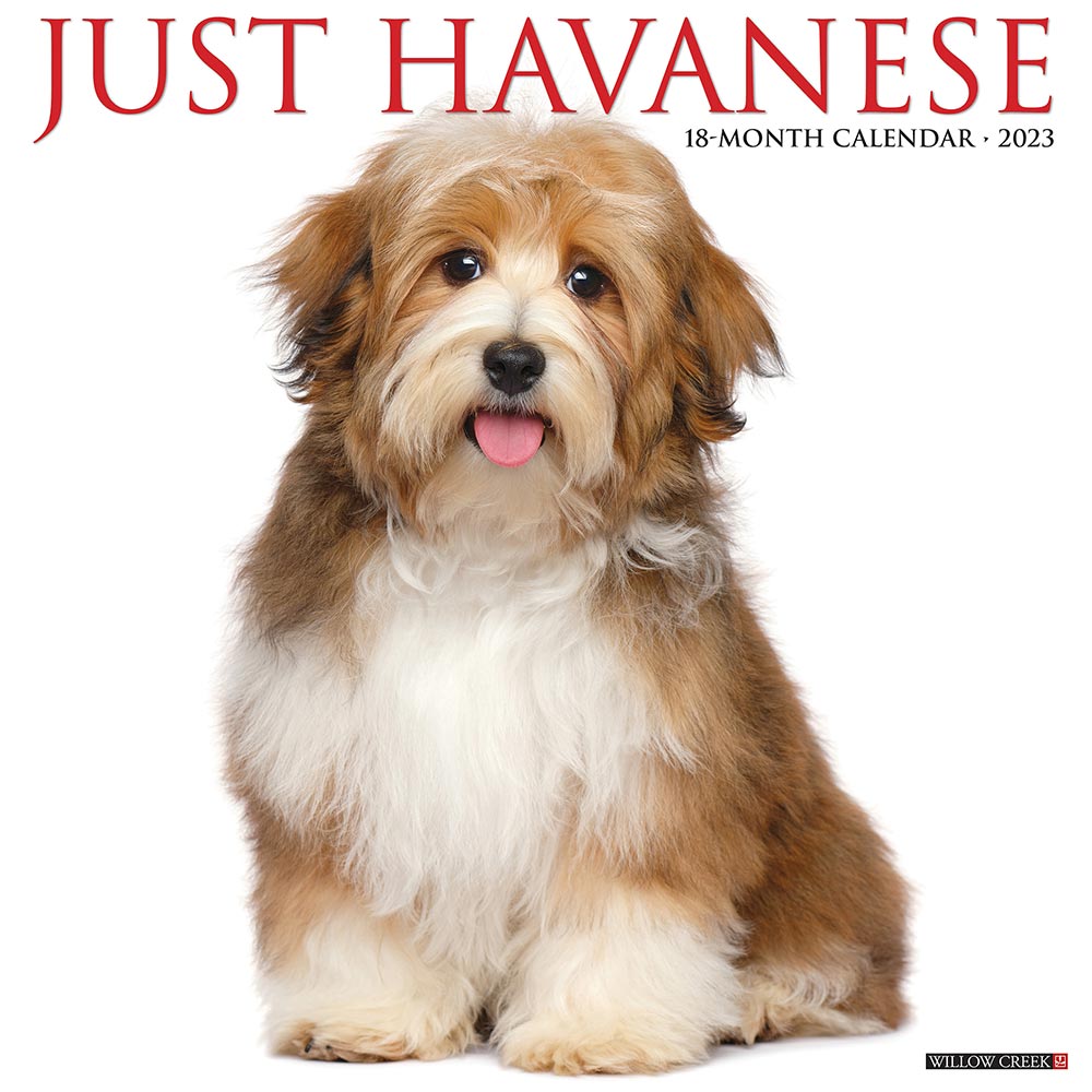 Havanese Dog Fan Gifts Apparel - AnimalDen.com