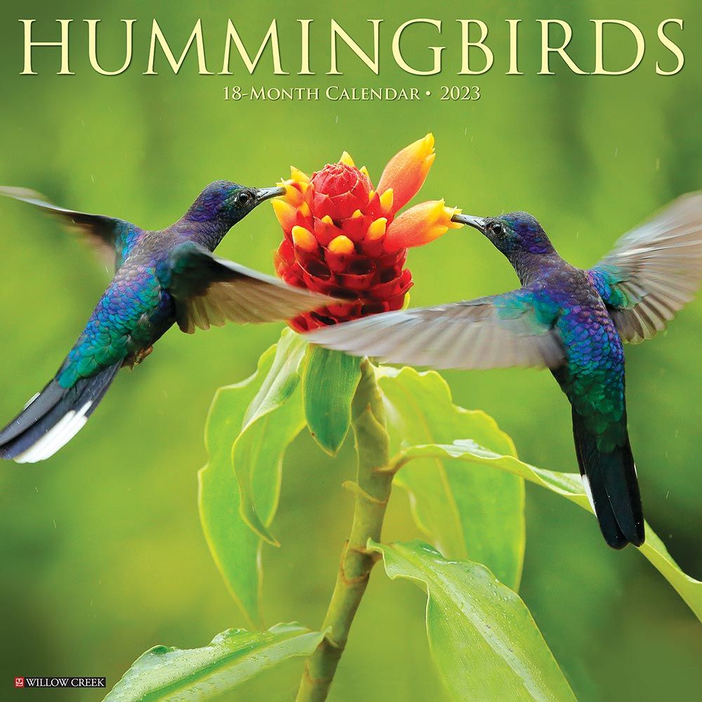 Hummingbird Gifts
