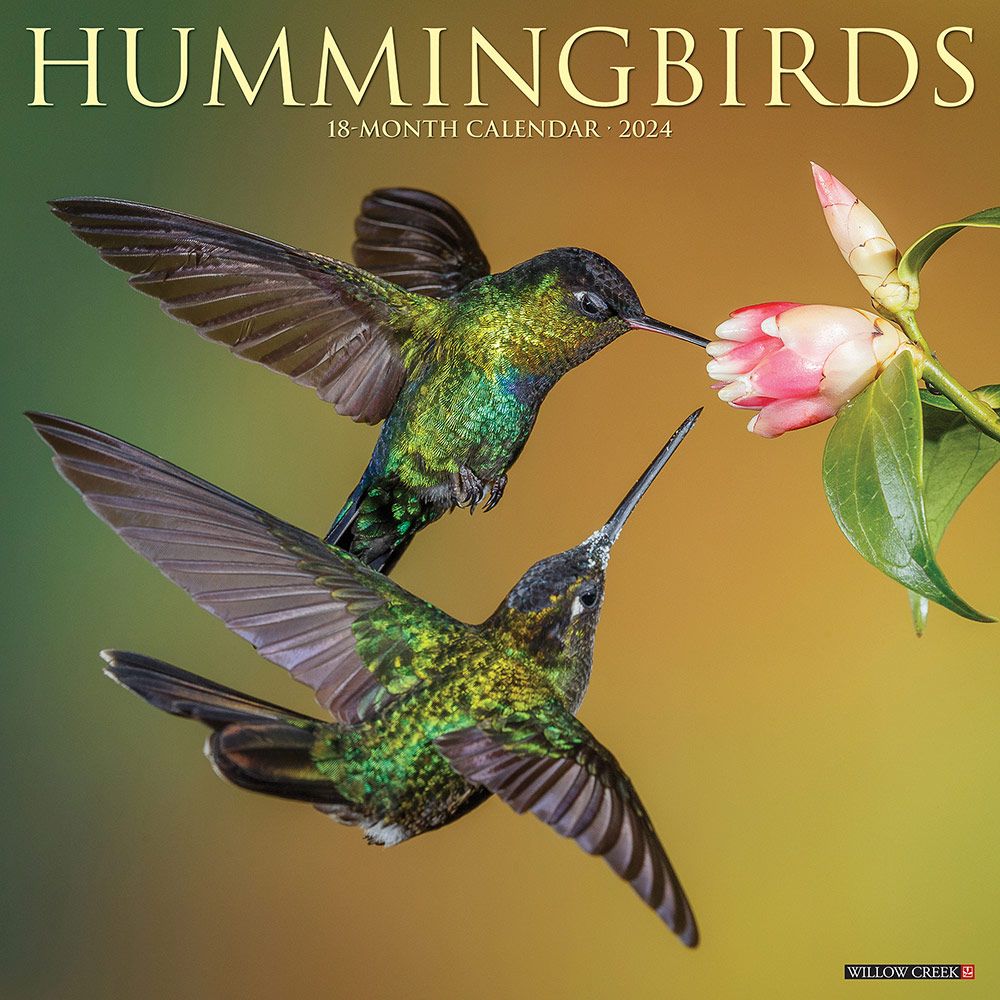 Hummingbird Gifts