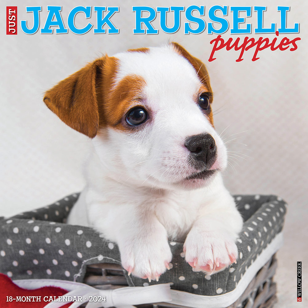 Jack Russell Terrier Gifts Keepsakes - AnimalDen.com