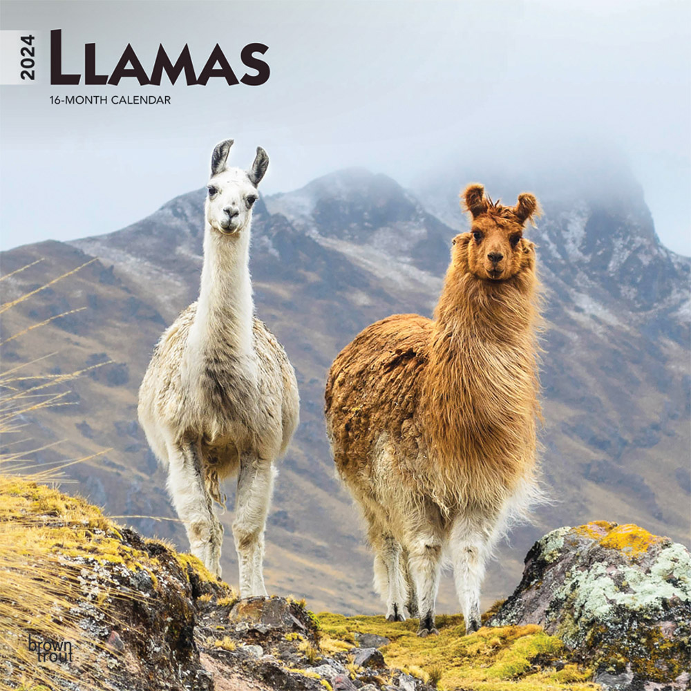 Llama Gifts and Collectibles – Animal Den