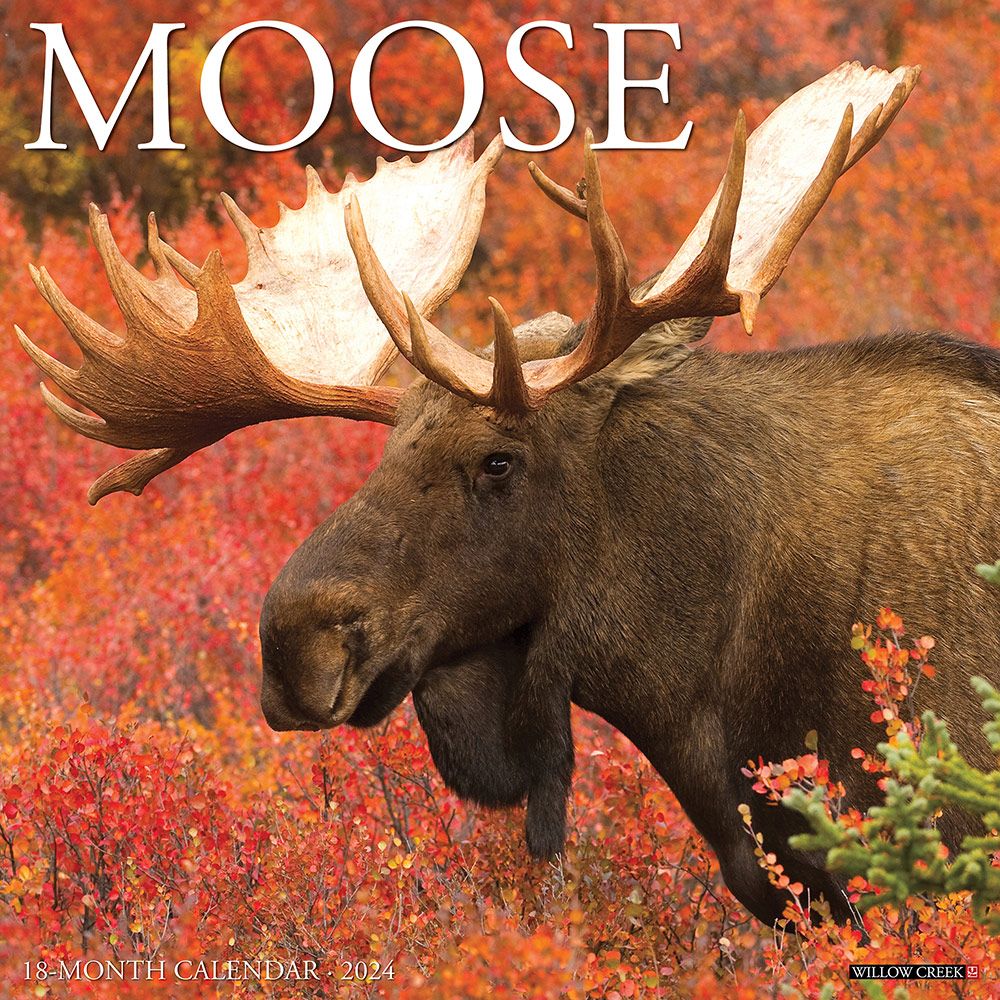 Moose Gifts, Jewelry & Moose Products