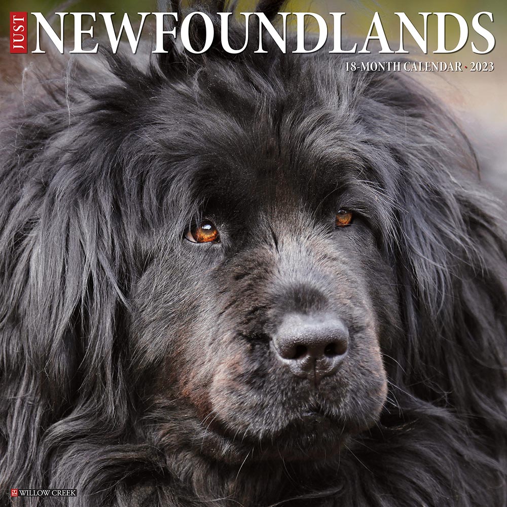 Newfoundland Gifts