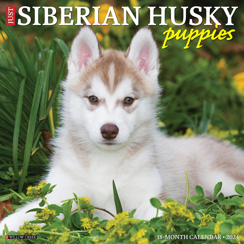 Siberian Husky Gifts - AnimalDen.com