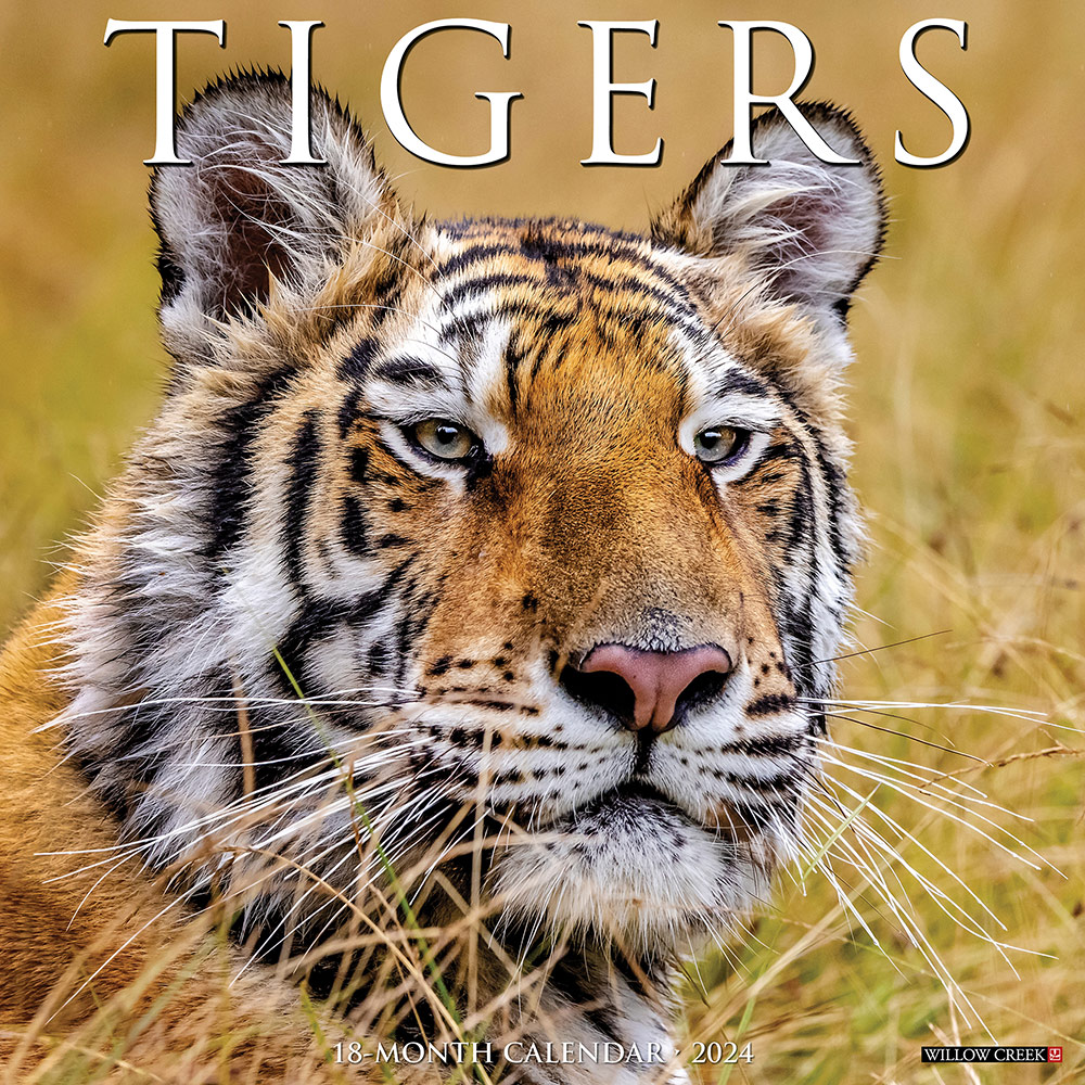 Tiger Gifts