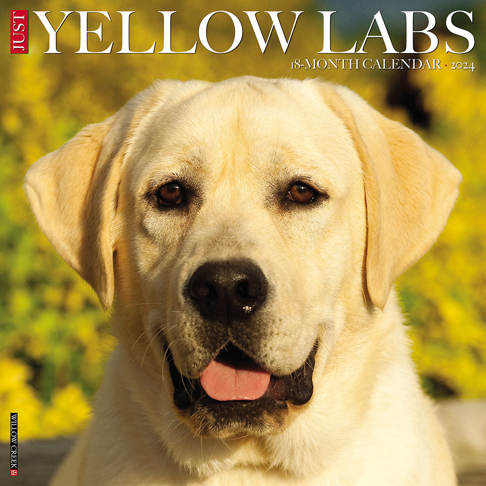 Yellow Lab Dog Lover Gifts - AnimalDen.com