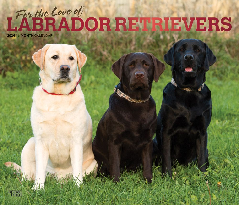 Black Lab Gifts, Jewelry & Labrador Retriever Products