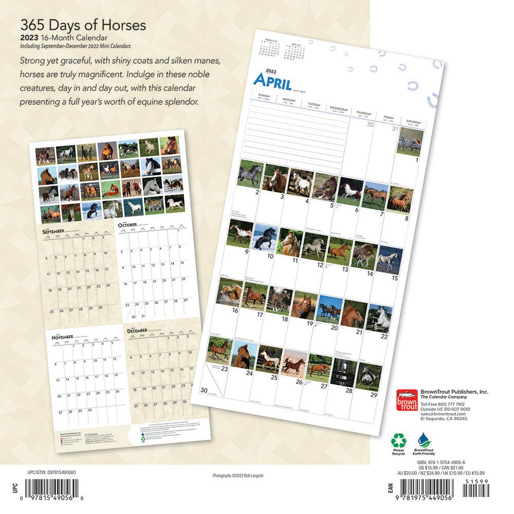 Horses, 365 Days of Calendar 2024 | Animalden.com