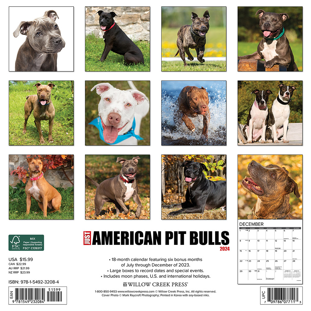 American Pit Bull Terriers Calendar 2024 Willow Creek|Animalden.com