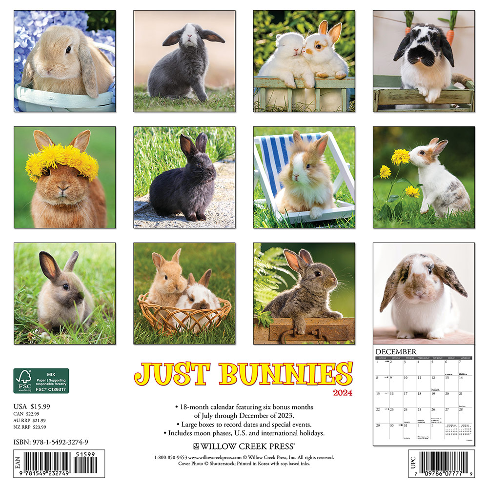 Bunnies Calendar 2024|Animalden.com