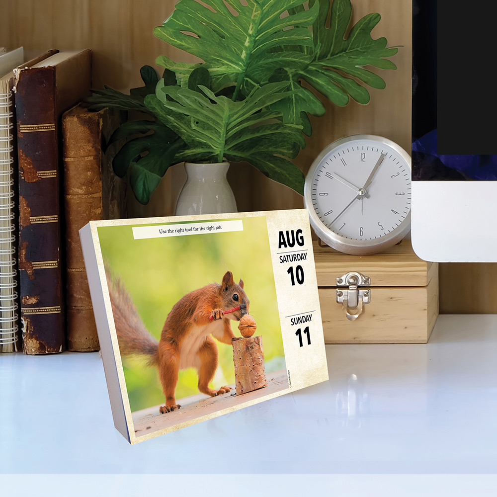 Gettin Squirrelly Box Calendar 2024 Willow Creek