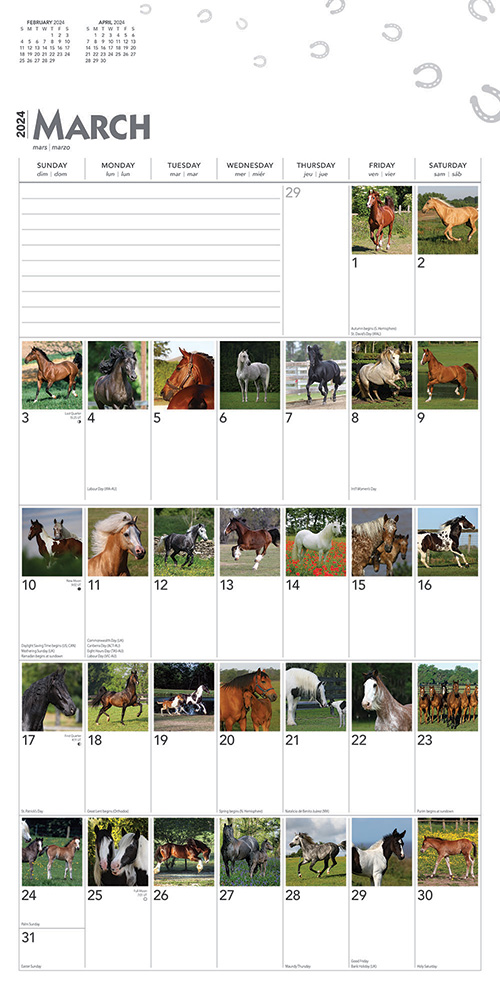 Horses, 365 Days of Calendar 2024 | Animalden.com