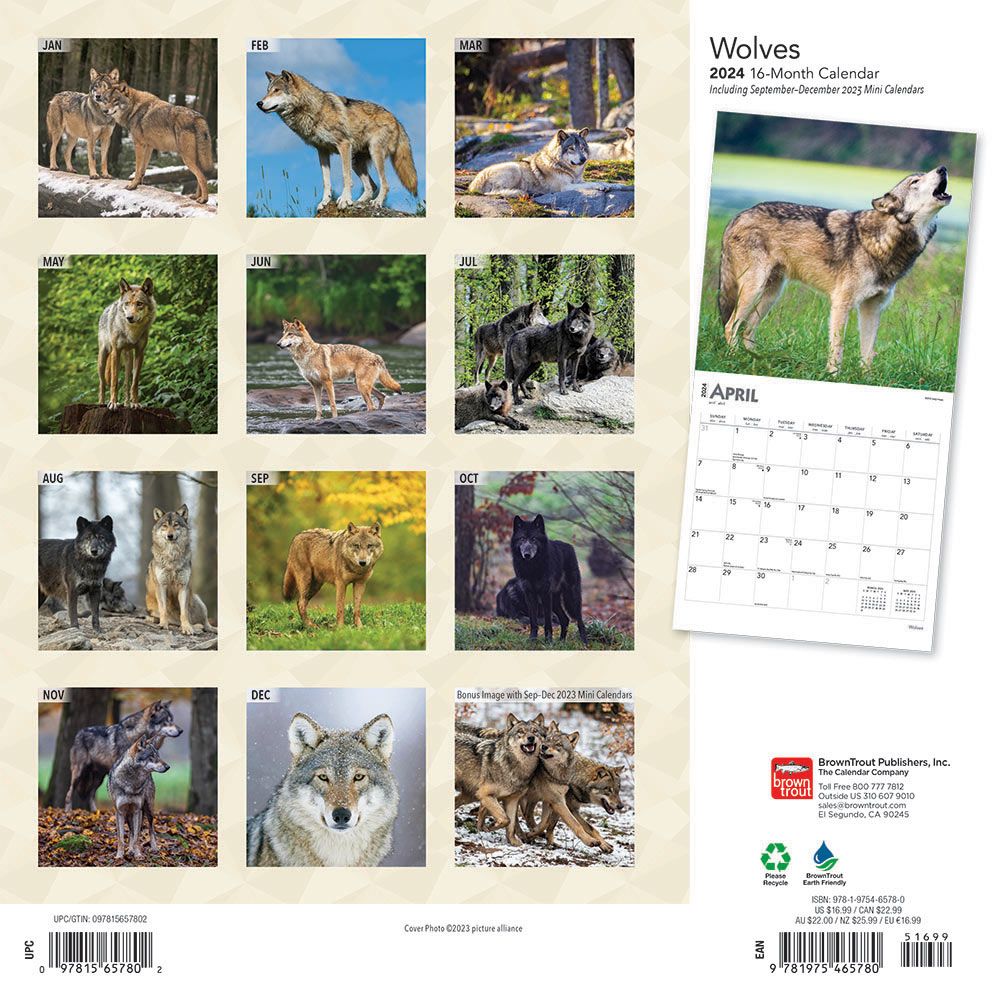Wolves Calendar 2024|Animal Den