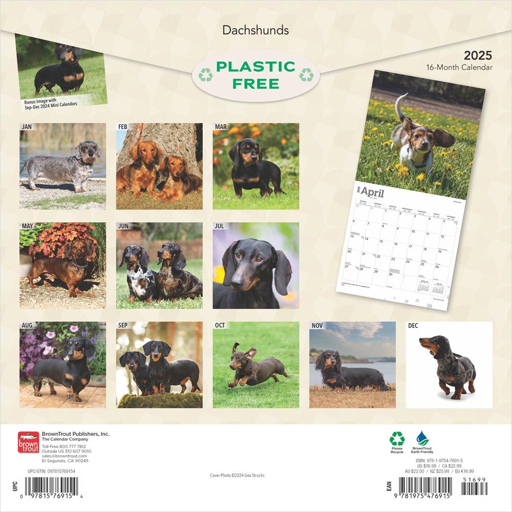 Dachshunds Calendar 2025|Animal Den