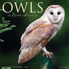 Owls Calendar 2025 Willow Creek|Animalden.com