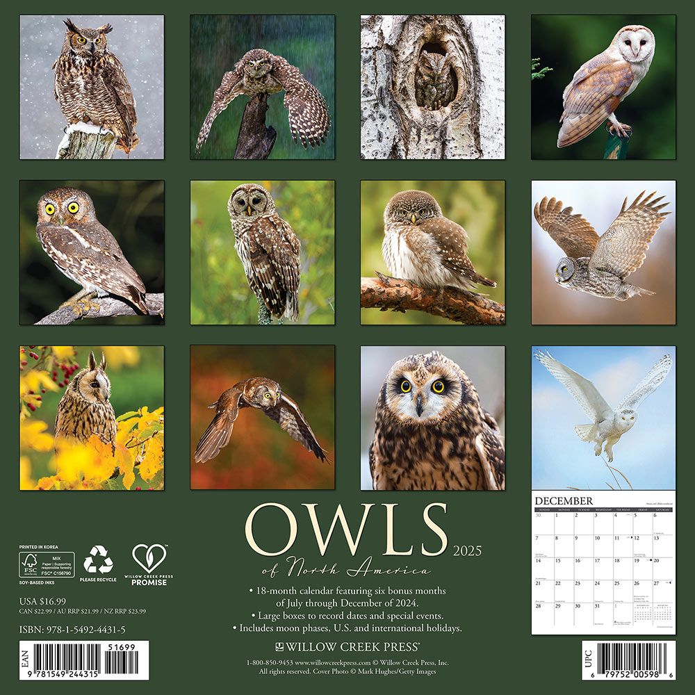 Owls Calendar 2025 Willow Creek|Animalden.com