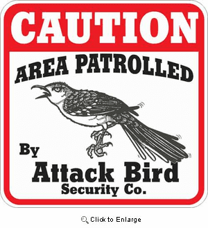 Attack Bird Sign | Animalden.com
