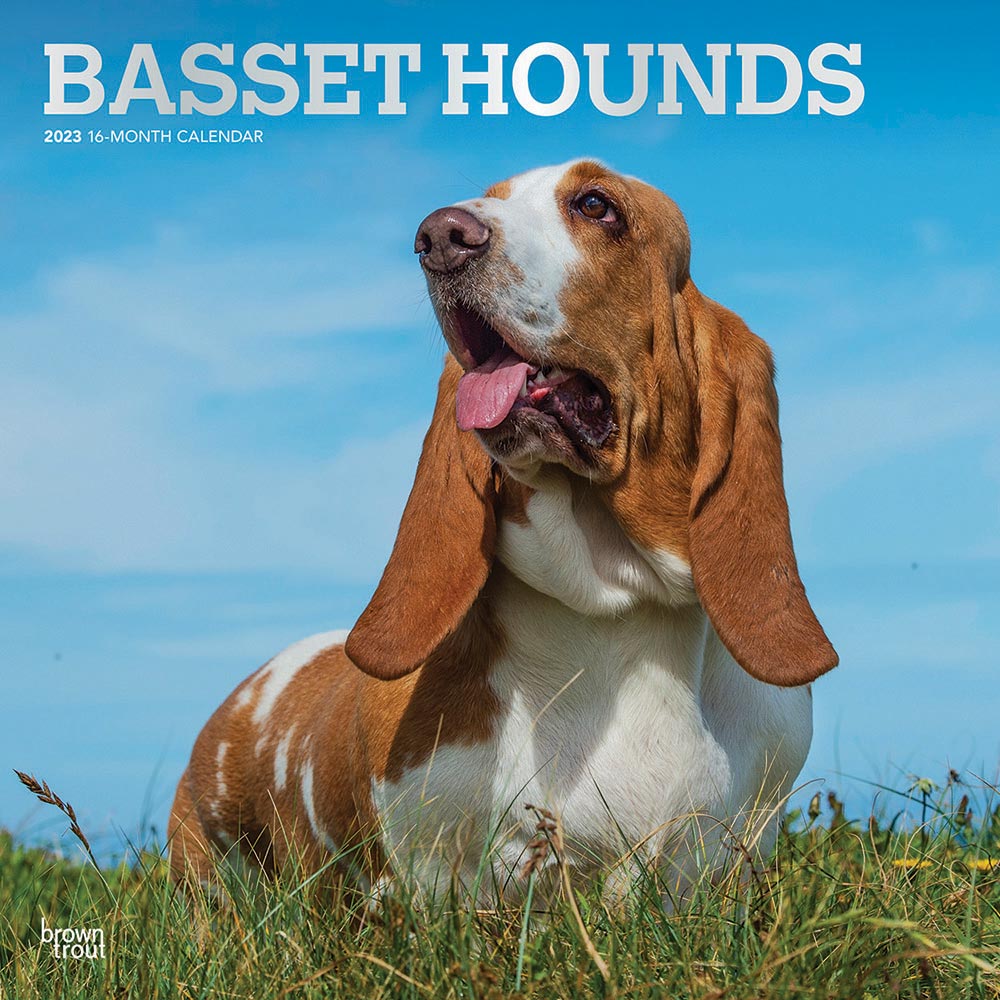 Basset Hound Gifts T-Shirts Toys Figurines