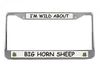 Big Horn Sheep License Plate Frame, License Plate Frames, Big Horn ...