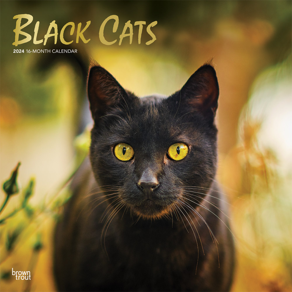 Black Cat Gifts