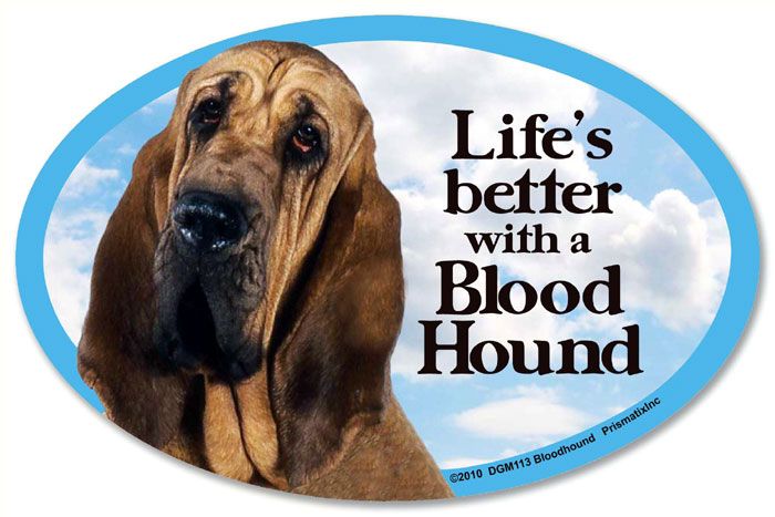 Bloodhound Fan Gifts, Apparel, Jewelry, Ornaments