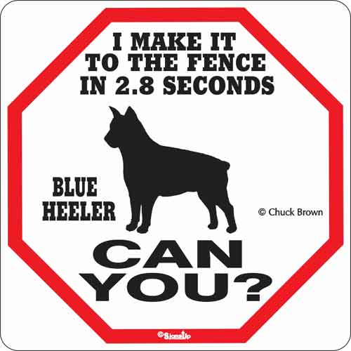 Australian Cattle Dog Signs including Welcome, Caution, Crossing, etc