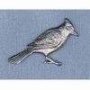 Blue Jay Pin & Blue Jay Gifts | Animalden.com