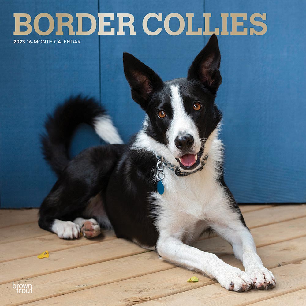 Border Collie Gifts, Jewelry & Border Collie Products
