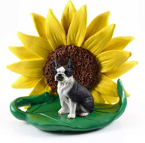 Boston Terrier Figurines and Boston Terrier Statues at Animal Den