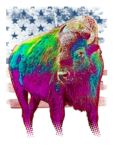 Buffalo Gifts, Buffalo-Theme Apparel – AnimalDen.com