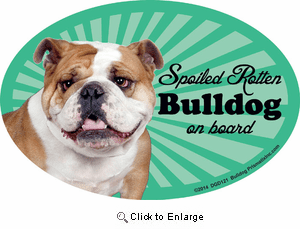 Bulldog Car Magnet - Spoiled Rotten - Animal Den