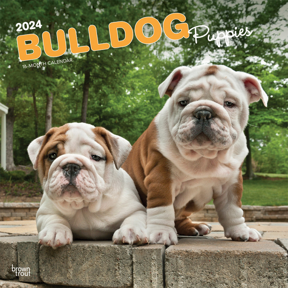 Bulldog Gifts & Products - AnimalDen.com