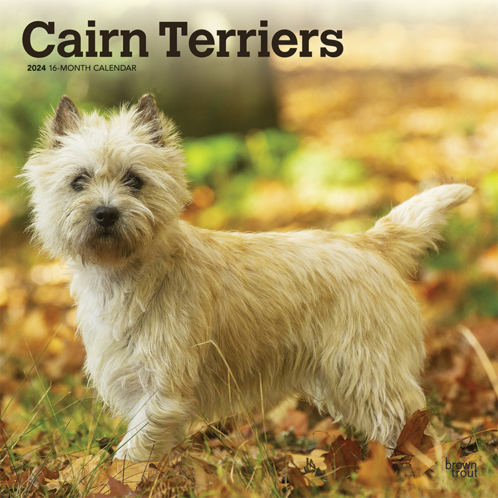 Cairn Terrier Lover Gifts, Collectibles, Toys & Tees
