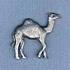 Camel Pin & Camel Gifts | Animalden.com