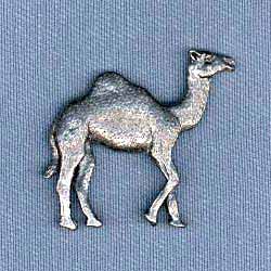 Camel Pin & Camel Gifts | Animalden.com