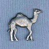 Camel Pin & Camel Gifts | Animalden.com